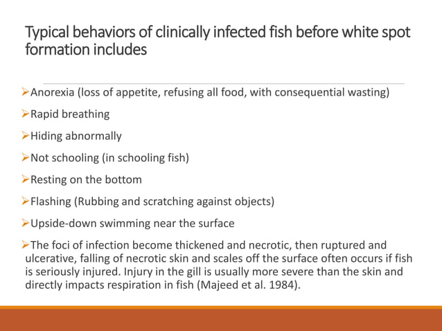 Ichthyophthiriasis | PPTX