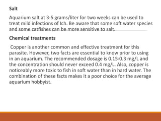 Ichthyophthiriasis | PPTX