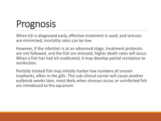 Ichthyophthiriasis | PPTX
