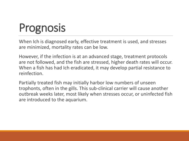 Ichthyophthiriasis | PPTX