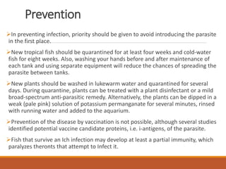Ichthyophthiriasis | PPTX