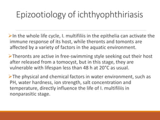 Ichthyophthiriasis | PPTX