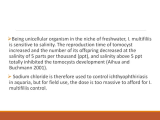 Ichthyophthiriasis | PPTX