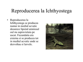 Ichthyostega | PPT