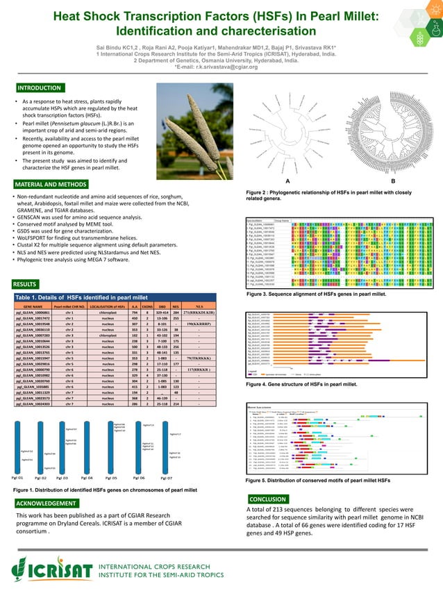 Heat Shock Transcription Factors (HSFs) In Pearl Millet: Identification and charecterisation ...
