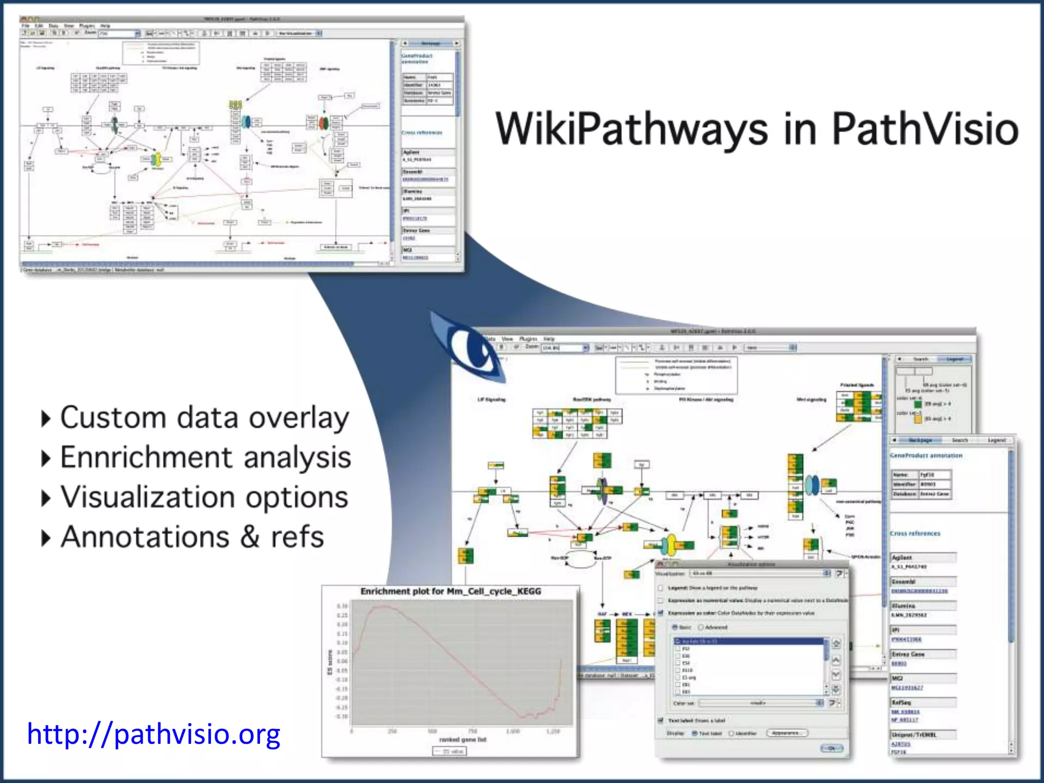 Introduction to WikiPathways | PPTX | Databases | Computer Software and Applications