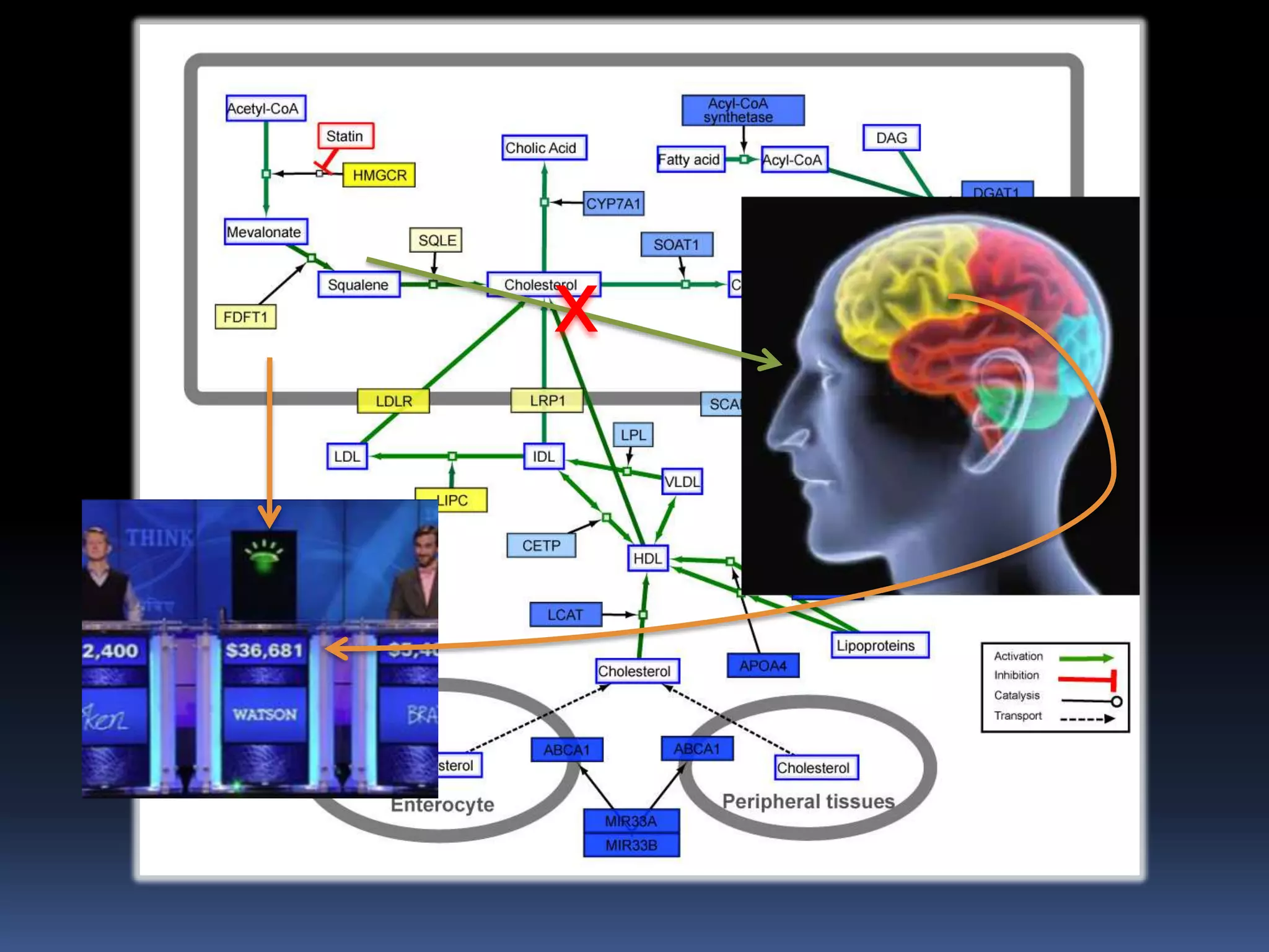 Introduction to WikiPathways | PPTX | Databases | Computer Software and Applications