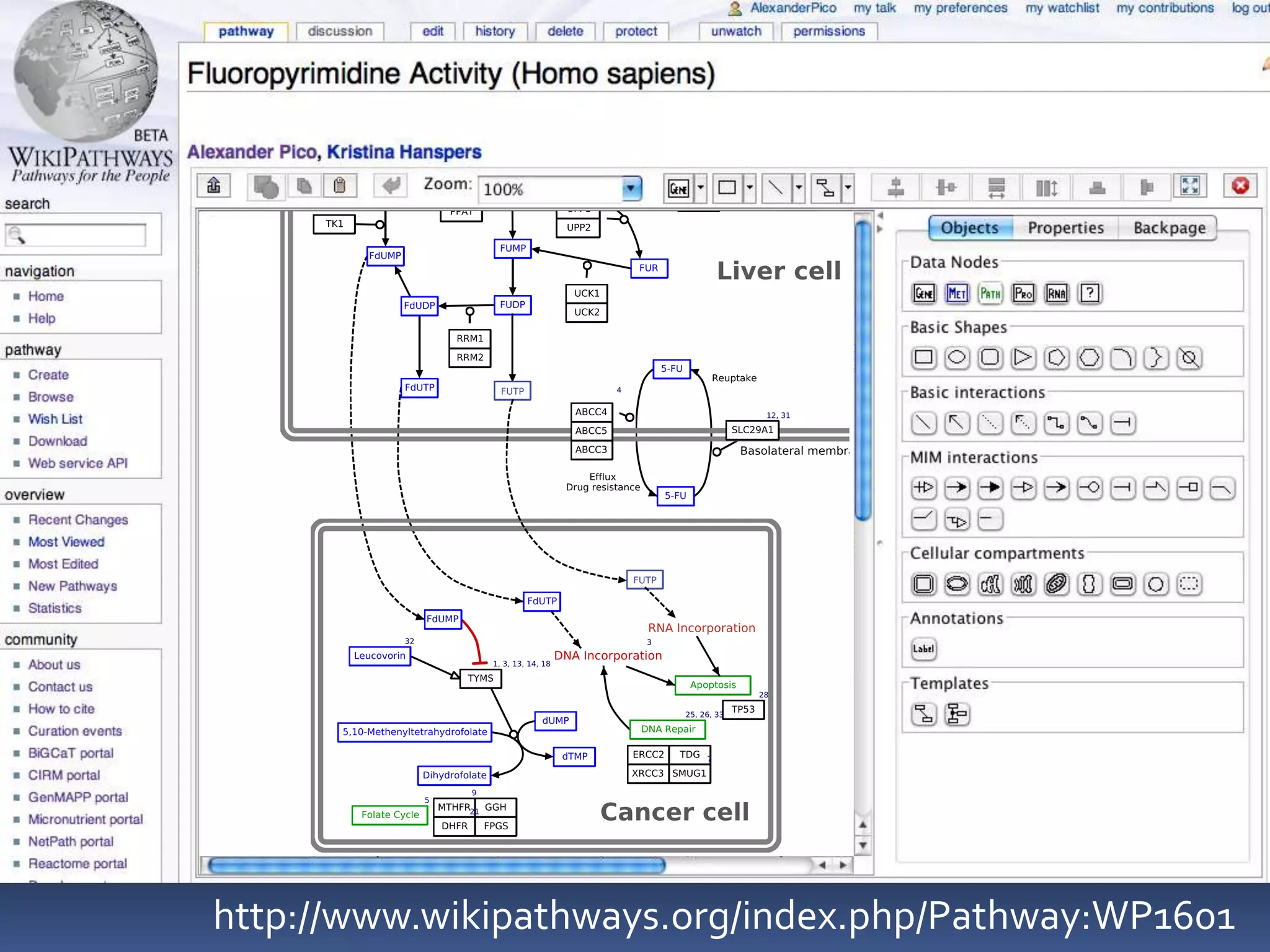 Introduction to WikiPathways | PPTX | Databases | Computer Software and Applications