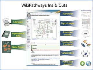 Introduction to WikiPathways | PPTX | Databases | Computer Software and Applications