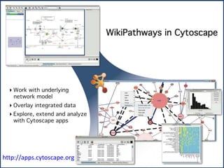 Introduction to WikiPathways | PPTX | Databases | Computer Software and Applications