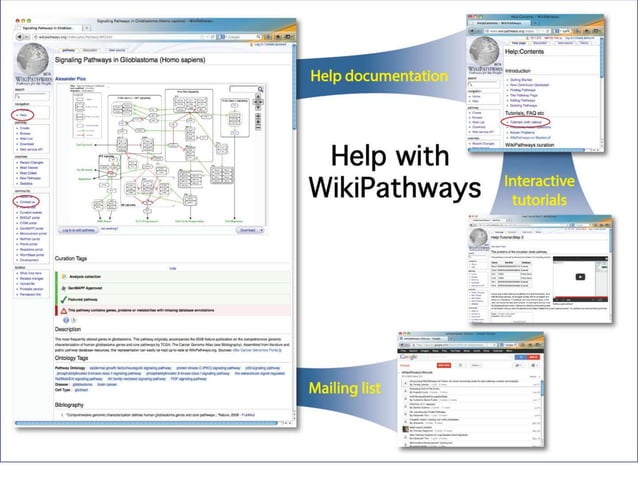 Introduction to WikiPathways | PPTX | Databases | Computer Software and Applications