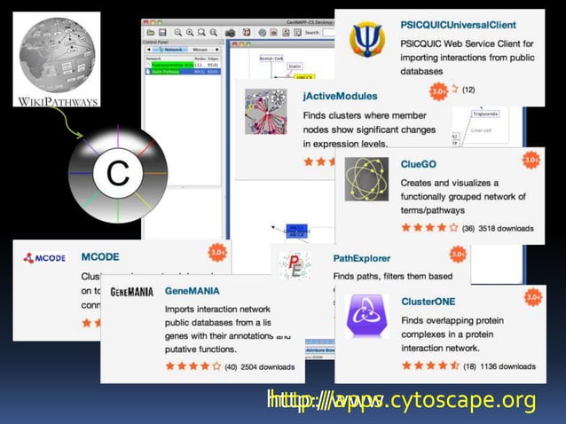 Introduction to WikiPathways | PPTX | Databases | Computer Software and Applications