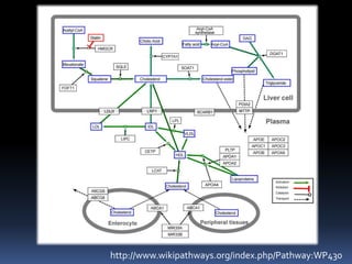 Introduction to WikiPathways | PPTX | Databases | Computer Software and Applications
