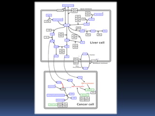 Introduction to WikiPathways | PPTX