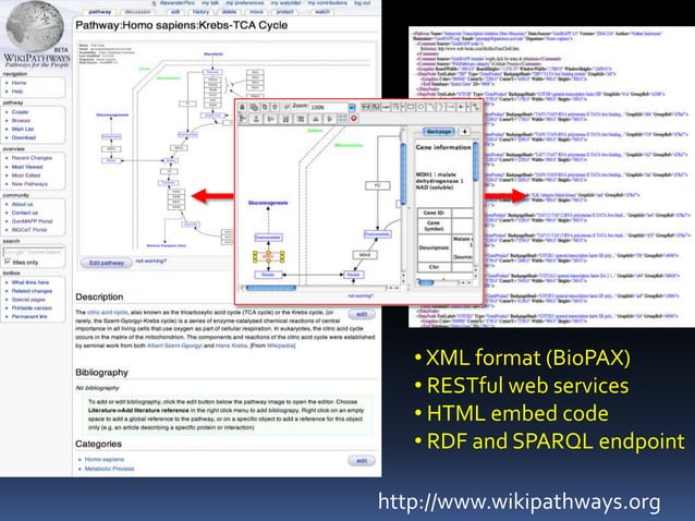 Introduction to WikiPathways | PPTX | Databases | Computer Software and Applications