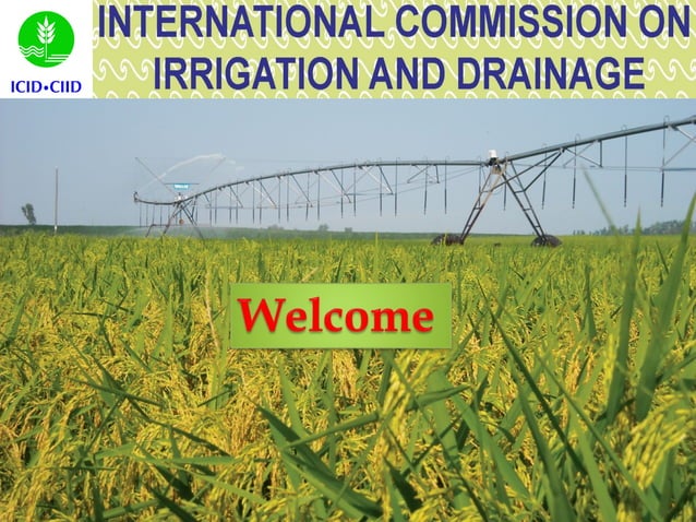 ICID Presentation | PPT | Free Download