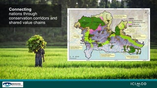Transboundary Cooperation:Experiences from HKH landscapes | PPT
