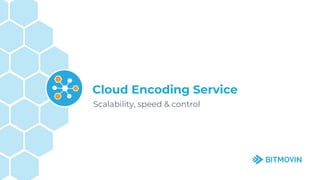 Video Coding for Large-Scale HTTP Adaptive Streaming Deployments: State of the Art and ...