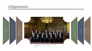 International Court of Justice | PPTX