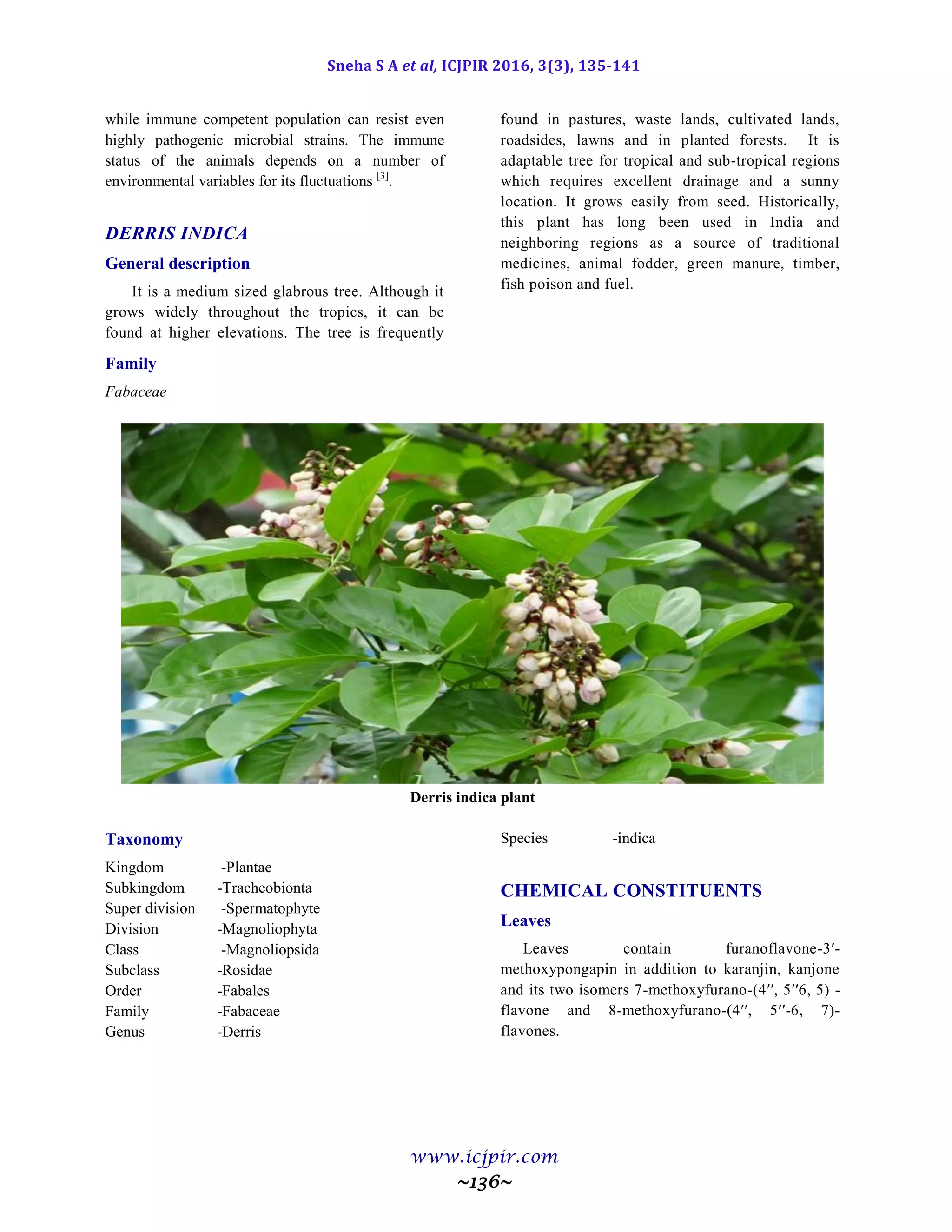 Anti bacterial activity of Derris indica leaf extracts | PDF
