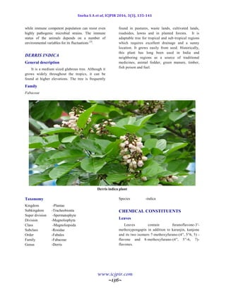 Anti bacterial activity of Derris indica leaf extracts | PDF