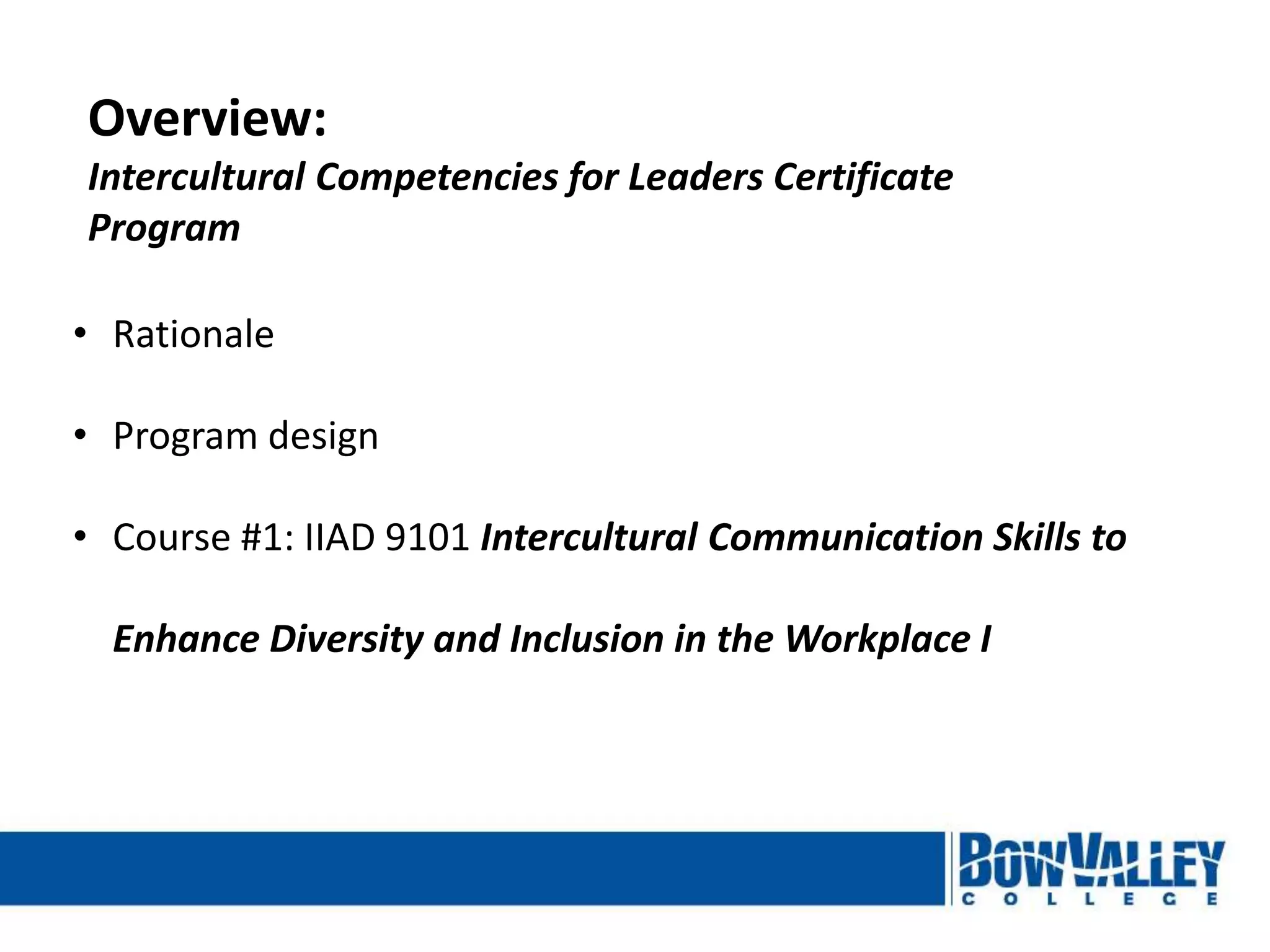 Curriculum Validation Workshop - Intercultural Competencies for Leader ...