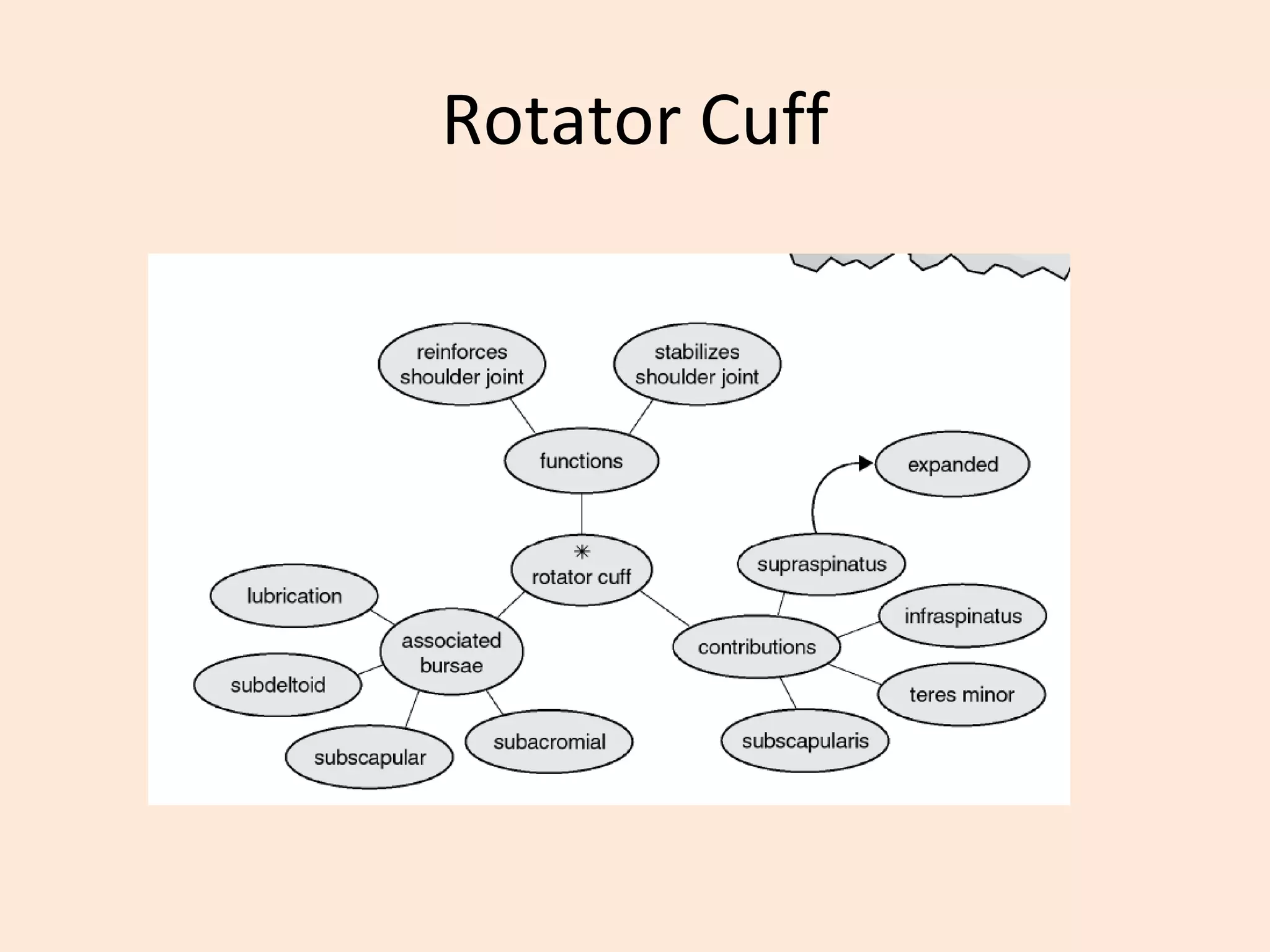 ICM Concept Map | PPT