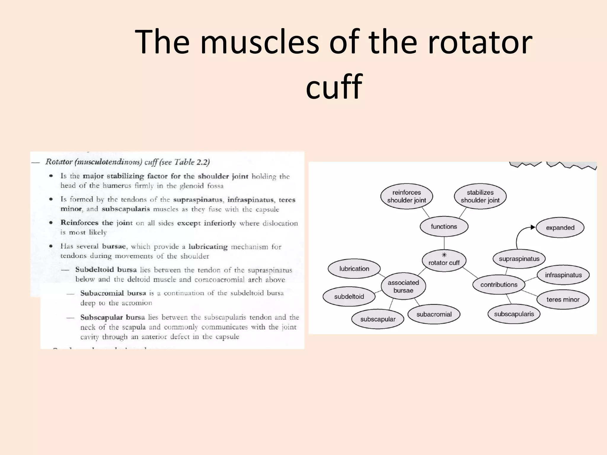 ICM Concept Map | PPT