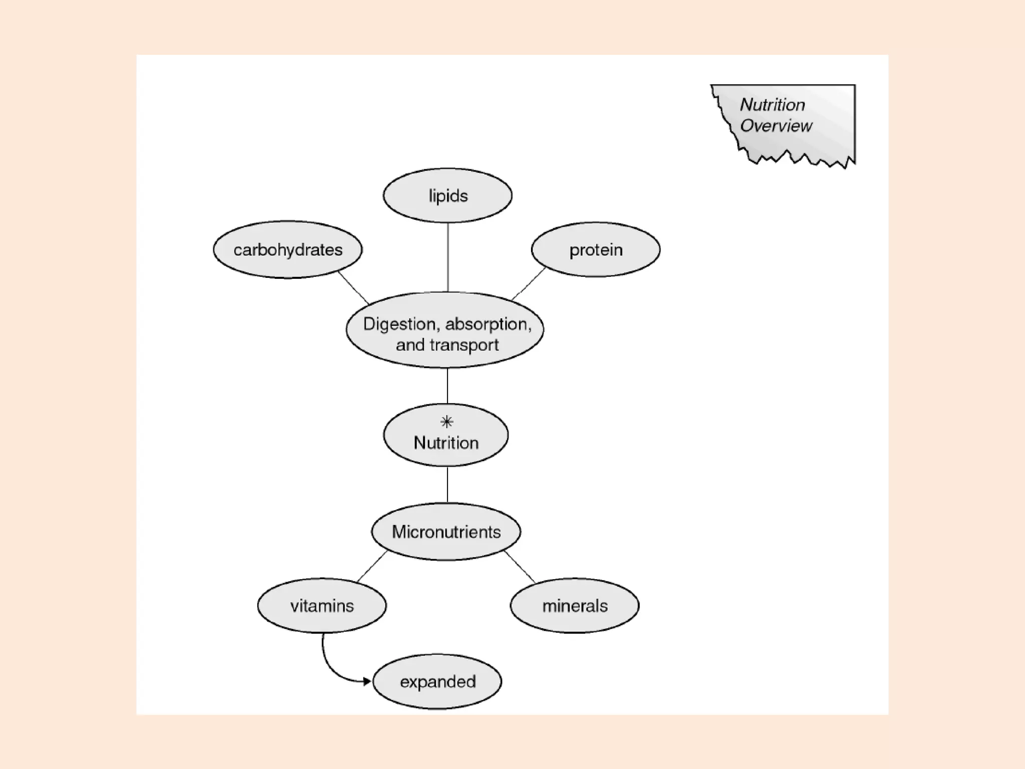 ICM Concept Map | PPT