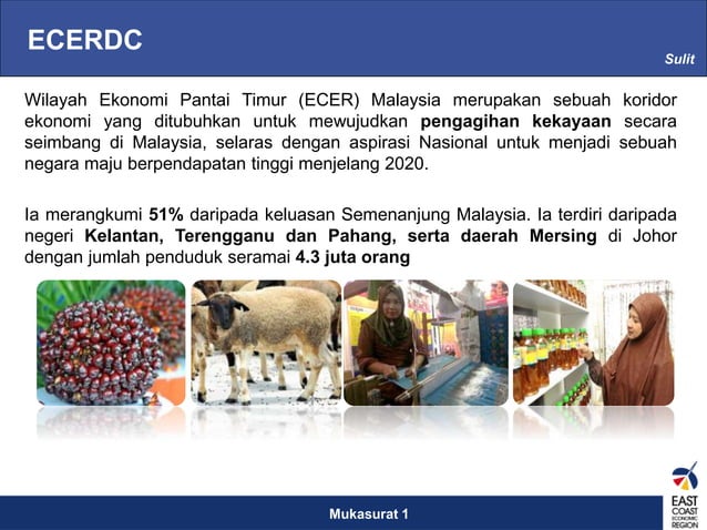 Slide ICM_Info Pack empower ECER 2018.pptx