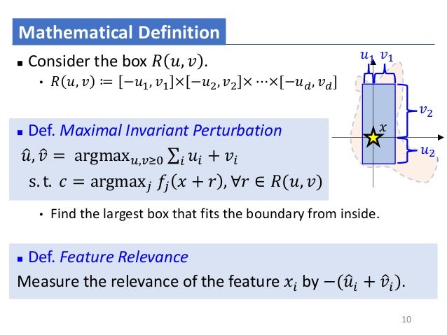 Maximally Invariant Data Perturbation As Explanation