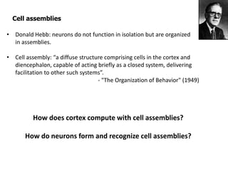 ICMNS Presentation: Presence of high order cell assemblies in mouse ...