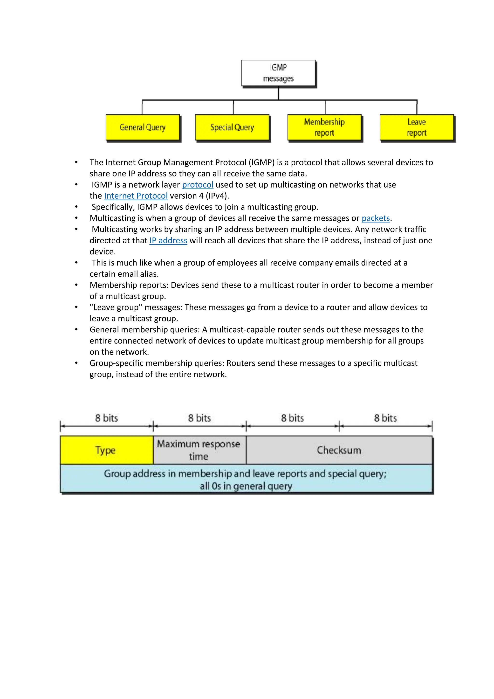 Icmp Igmp Protocols Of Network Layer For Ipv4 Docx
