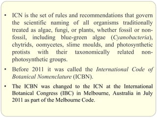 International Code of Nomenclature for algae, fungi, and plants (ICN ...