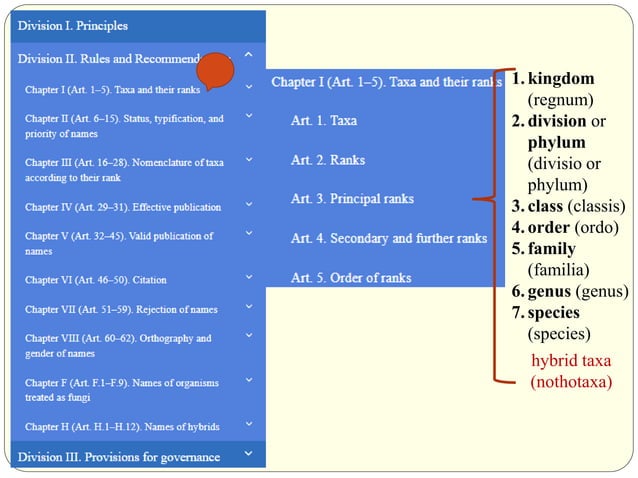 International Code of Nomenclature for algae, fungi, and plants (ICN ...