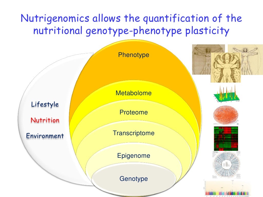 Nutrigenomics: The path towards nutritional science 2.0