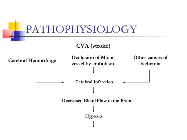 Icn cerebrovascular dse