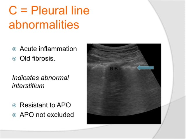 The Basics of Lung Ultrasound | PPTX