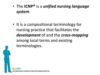 ICNP - International Classification for Nursing Practice | PDF