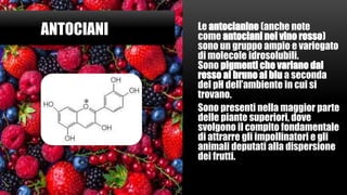 I COLORI DELLA LUCE_Stefano Volpe.pptx