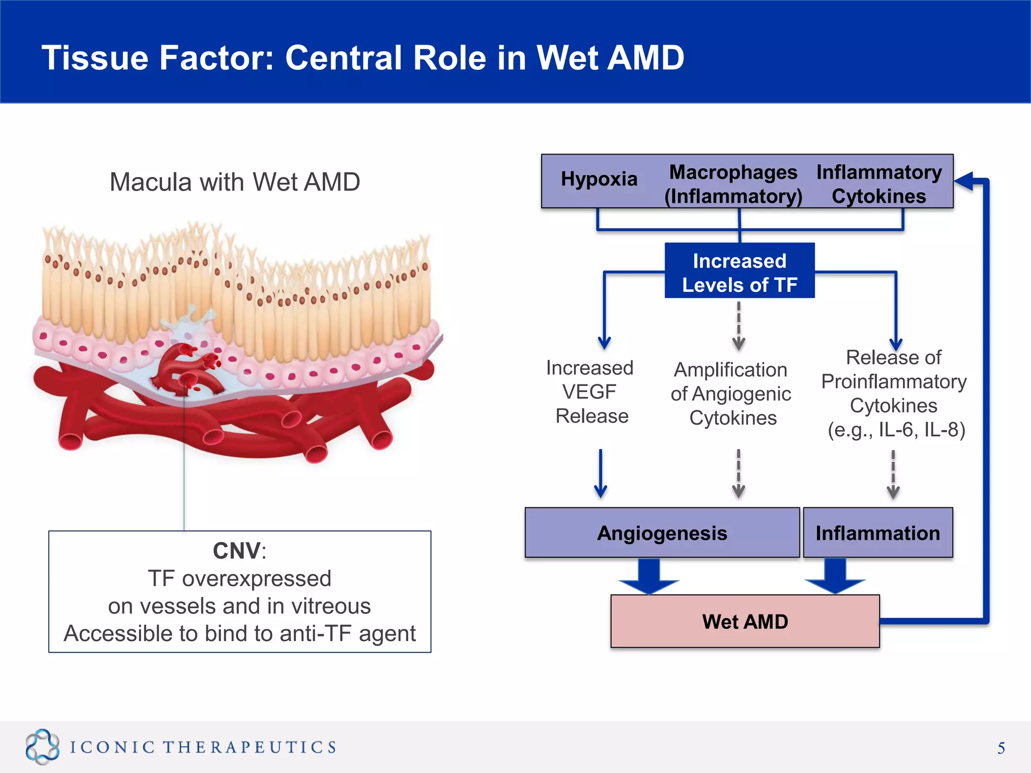 Iconic Therapeutics | PPT