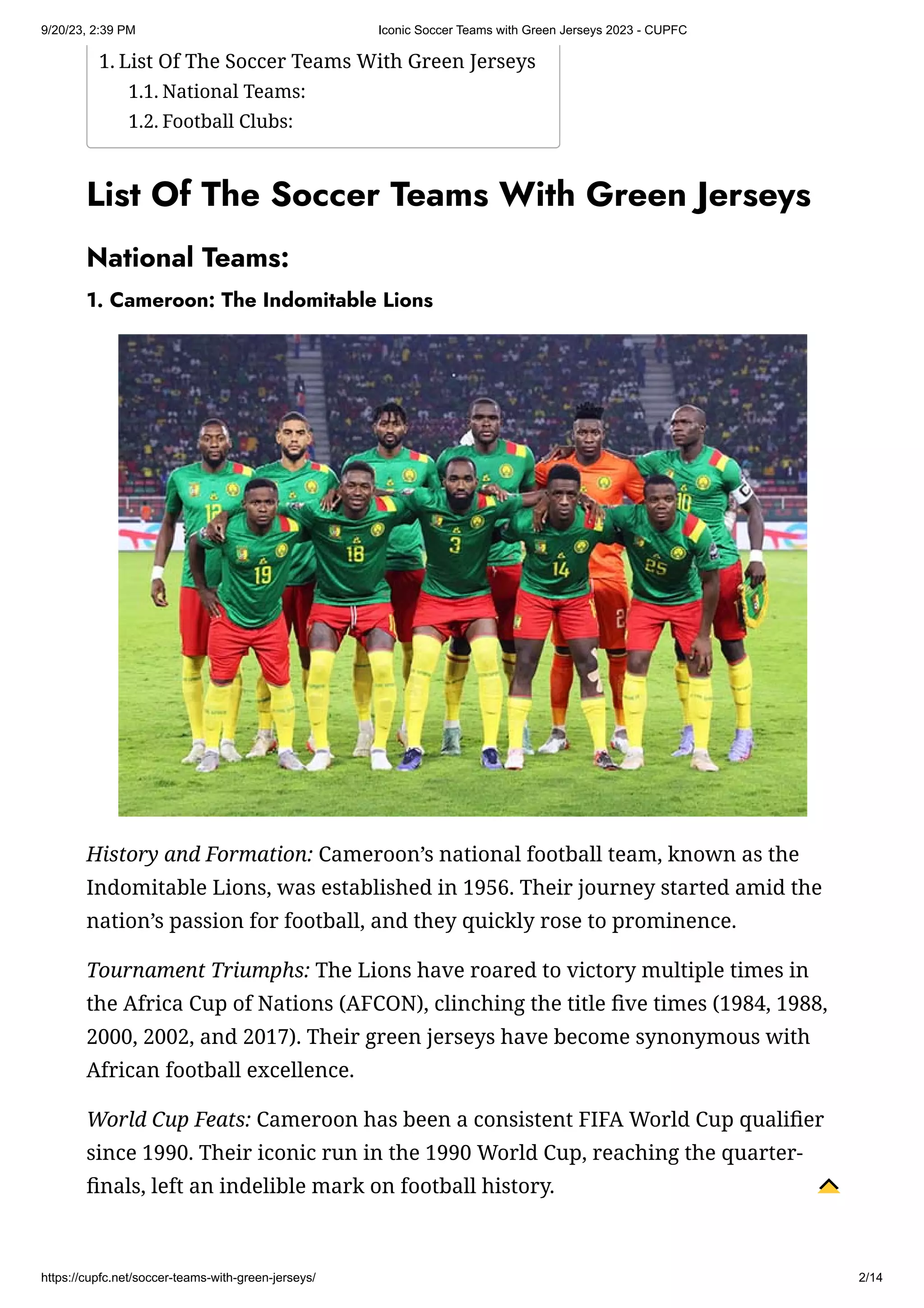 Iconic Soccer Teams with Green Jerseys 2023 - CUPFC.pdf