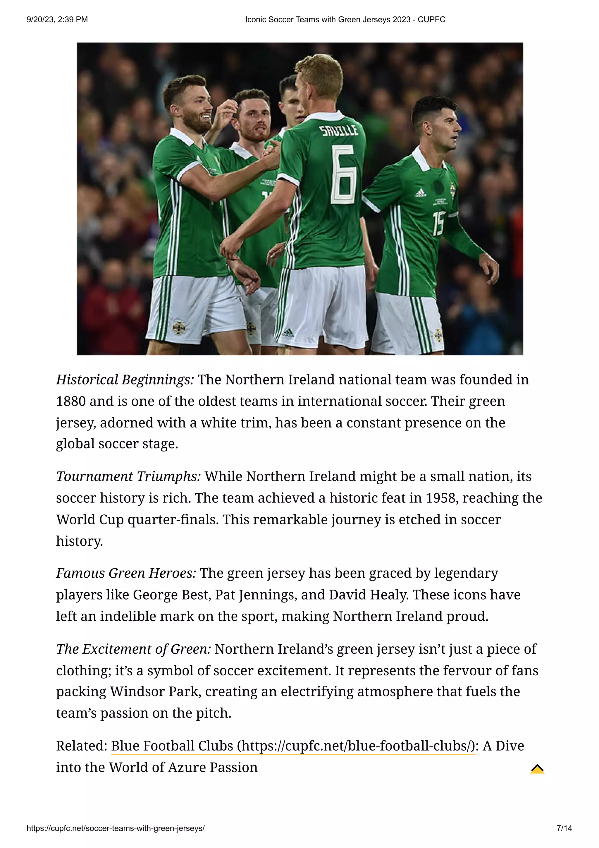 Iconic Soccer Teams with Green Jerseys 2023 - CUPFC.pdf