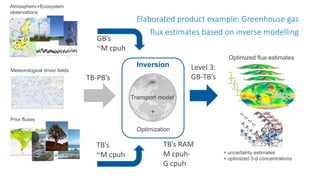 ICOS Carbon Portal | PDF