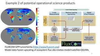 ICOS Carbon Portal | PDF