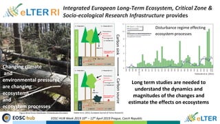 ICOS Carbon Portal | PDF