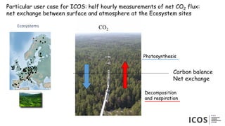 ICOS Carbon Portal | PDF
