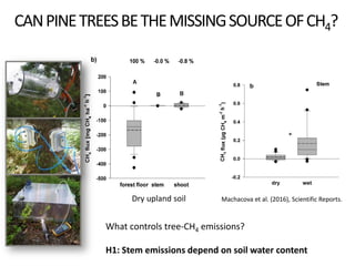 Influence of ground water table level on methane emissions from tree ...