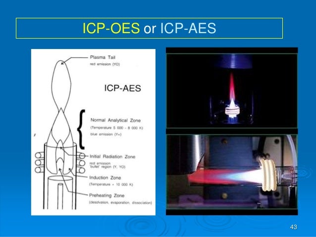 Trace Elements in Clinical Science