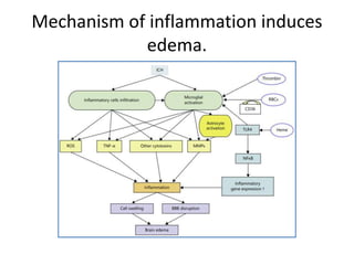 ICP 2o Traumatic ICH vs contusion ( TBI).pptx
